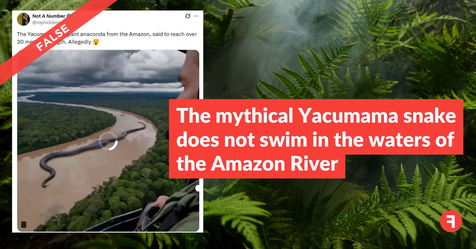 The mythical Yacumama snake does not swim in the waters of the Amazon ...